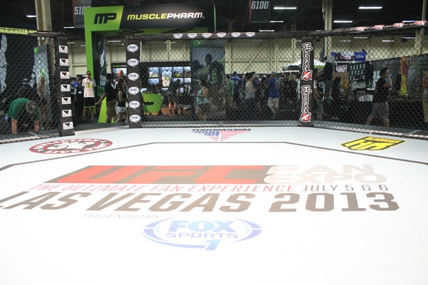 UFC Fan Expo 2013