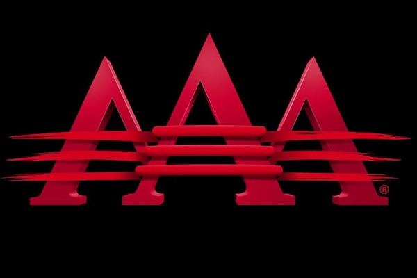 Cumple dos décadas de existencia la AAA