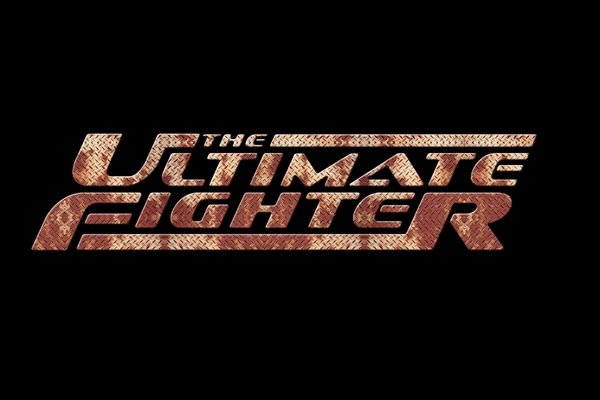 La Historia del Ultimate Fighter
