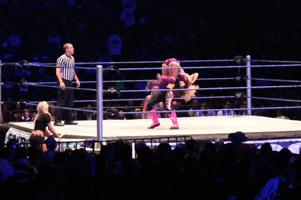 WWE en el Palacio de los Deportes