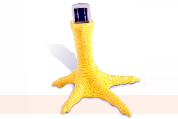 ¿Cuál es tu USB?| Mediotiempo