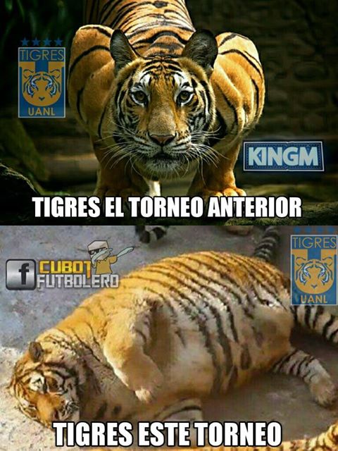 Los mejores memes de la J6 del C2017