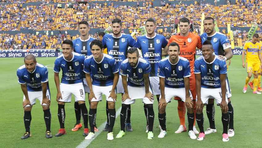 Gallo de pelea sobrevive en el Volcán