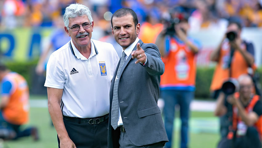 Gallo de pelea sobrevive en el Volcán