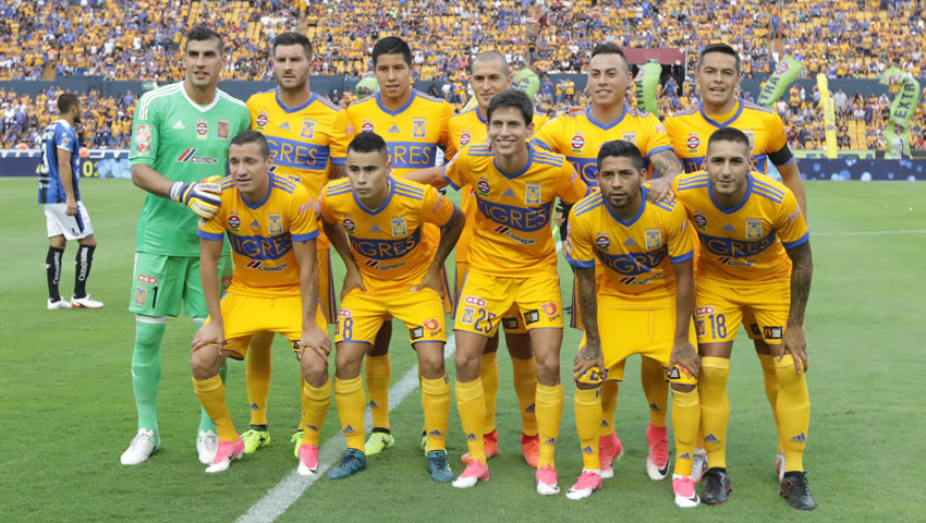 Gallo de pelea sobrevive en el Volcán