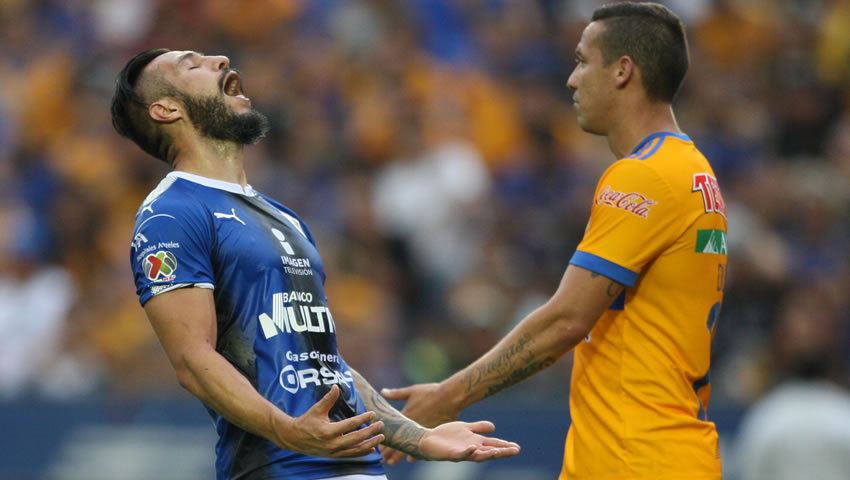 Gallo de pelea sobrevive en el Volcán