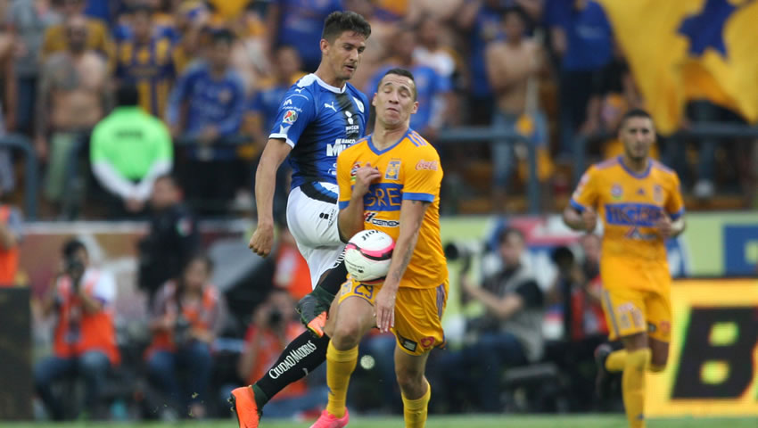 Gallo de pelea sobrevive en el Volcán