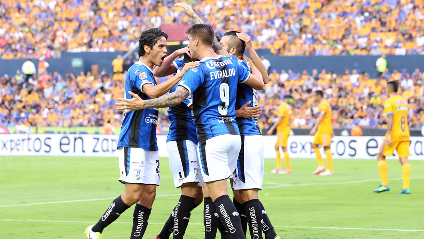 Gallo de pelea sobrevive en el Volcán