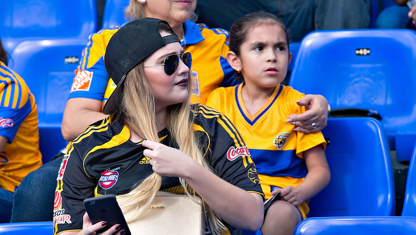 Gallo de pelea sobrevive en el Volcán