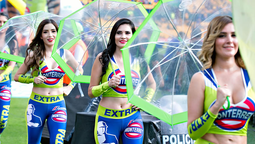 Gallo de pelea sobrevive en el Volcán