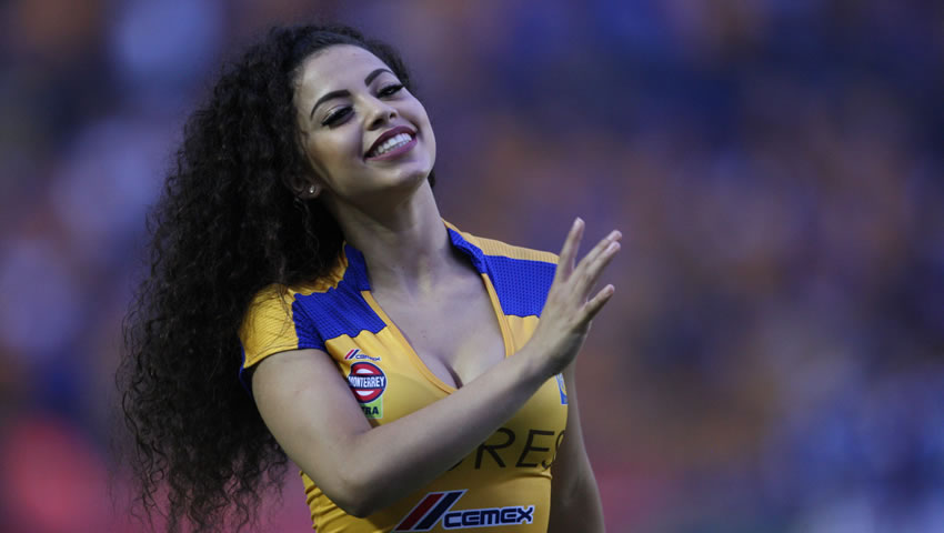 Gallo de pelea sobrevive en el Volcán