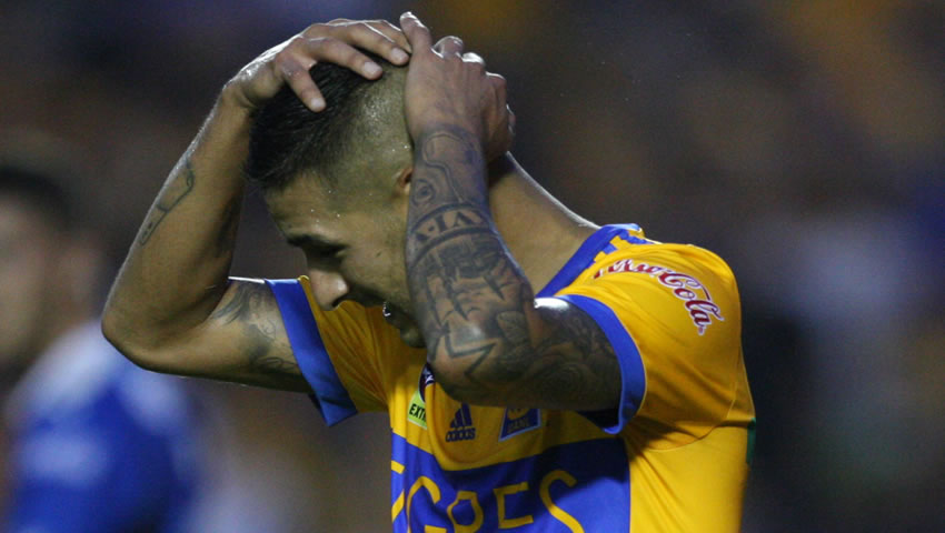 Gallo de pelea sobrevive en el Volcán