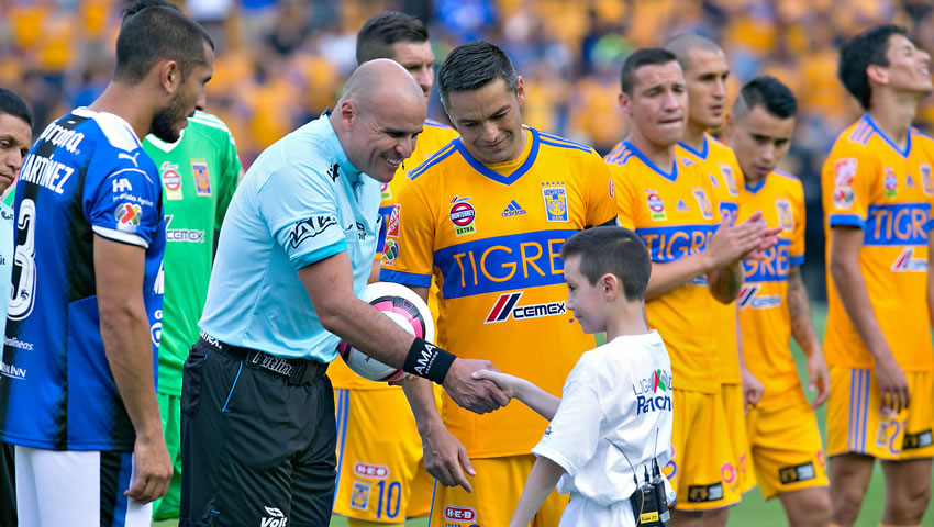 Gallo de pelea sobrevive en el Volcán