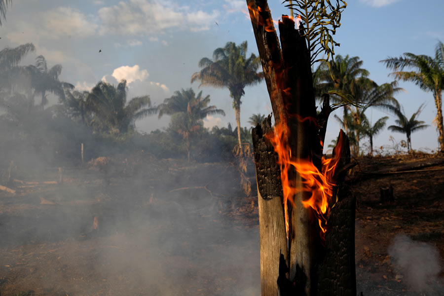 Incendios en Amazonas Brasil, el mayor desastre en seis años| Mediotiempo