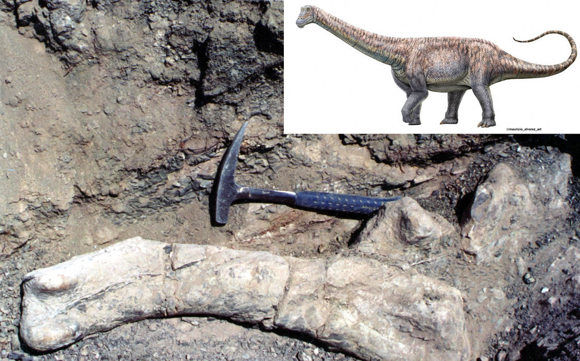 Descubren dinosaurio desconocido en desierto de Atacama, Chile