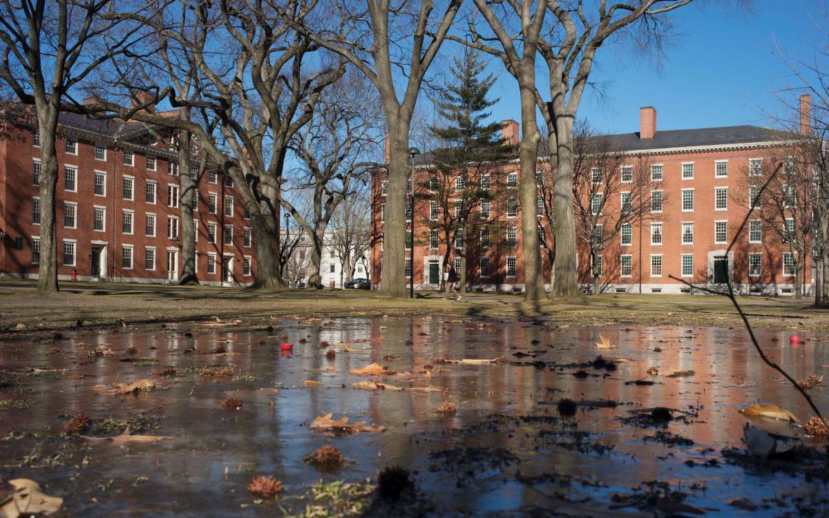 Los cursos en línea gratuitos de la Universidad de Harvard 2022