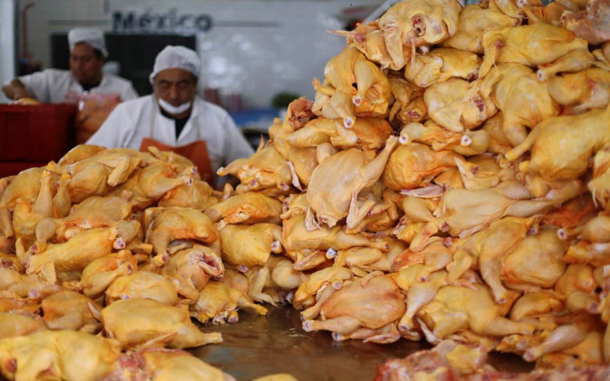 Pollero revela cómo te roban al comprar pechuga. Video