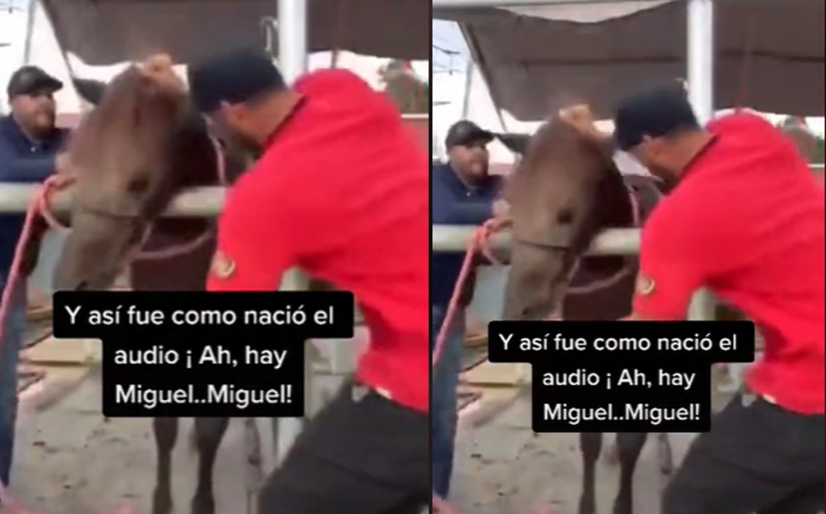 ‘Ay Miguel’; Origen del audio viral de TikTok | Mediotiempo