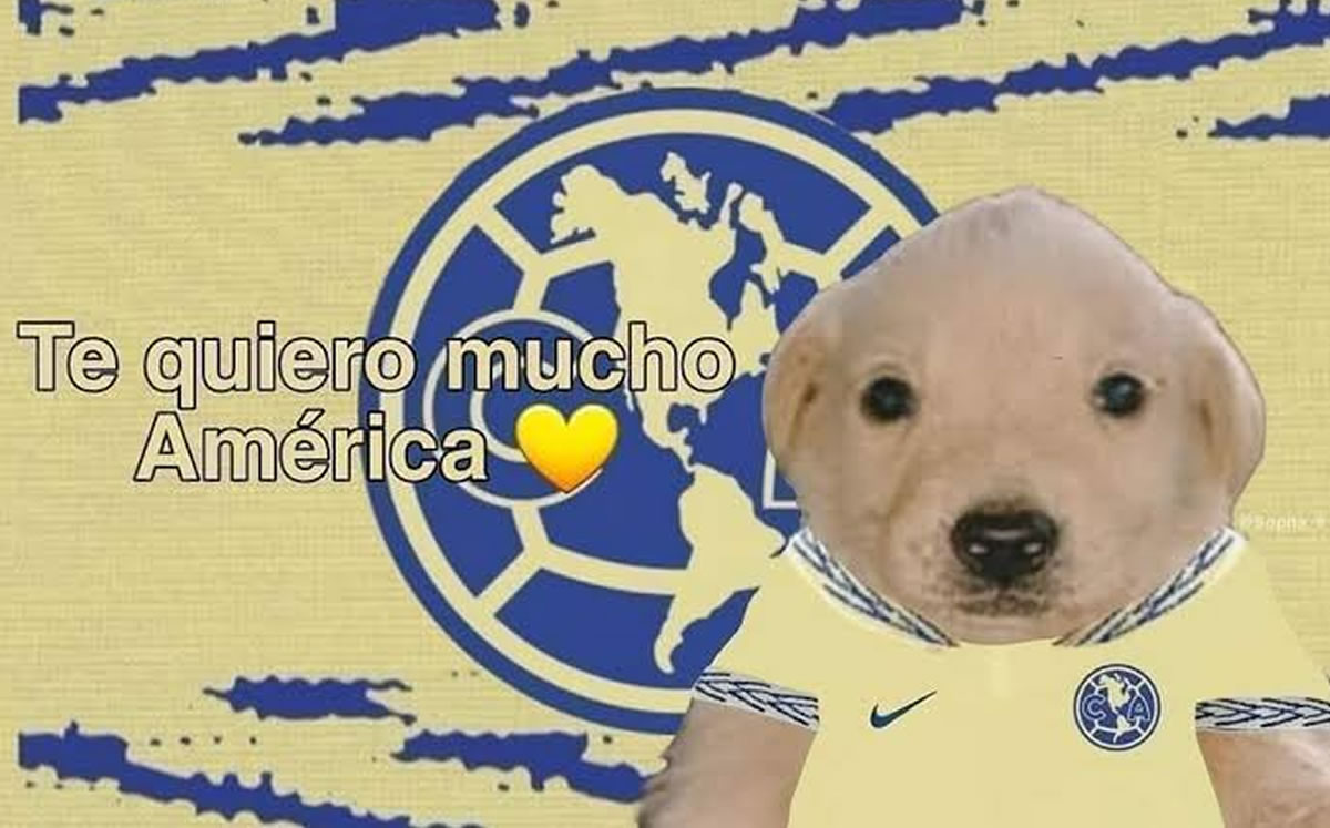 Memes América vs Puebla: ¡El Ave vuela en redes y en Liguilla!