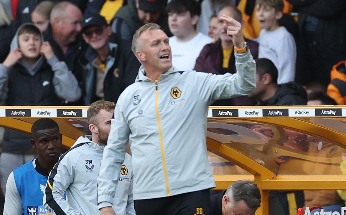 Premier League. Wolves mantiene a Steve Davis como su DT hasta 2023
