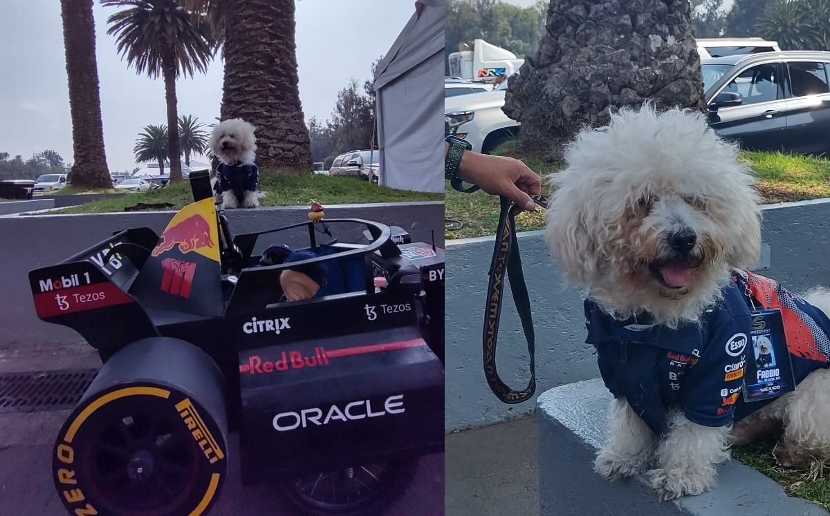 Fabbio, el fan más 'perrón' de Checo Pérez y la Fórmula 1