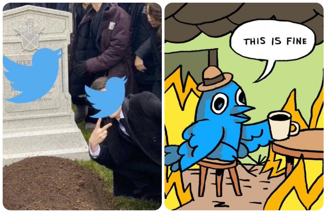 Cierre de Twitter causa los mejores memes de esta red social