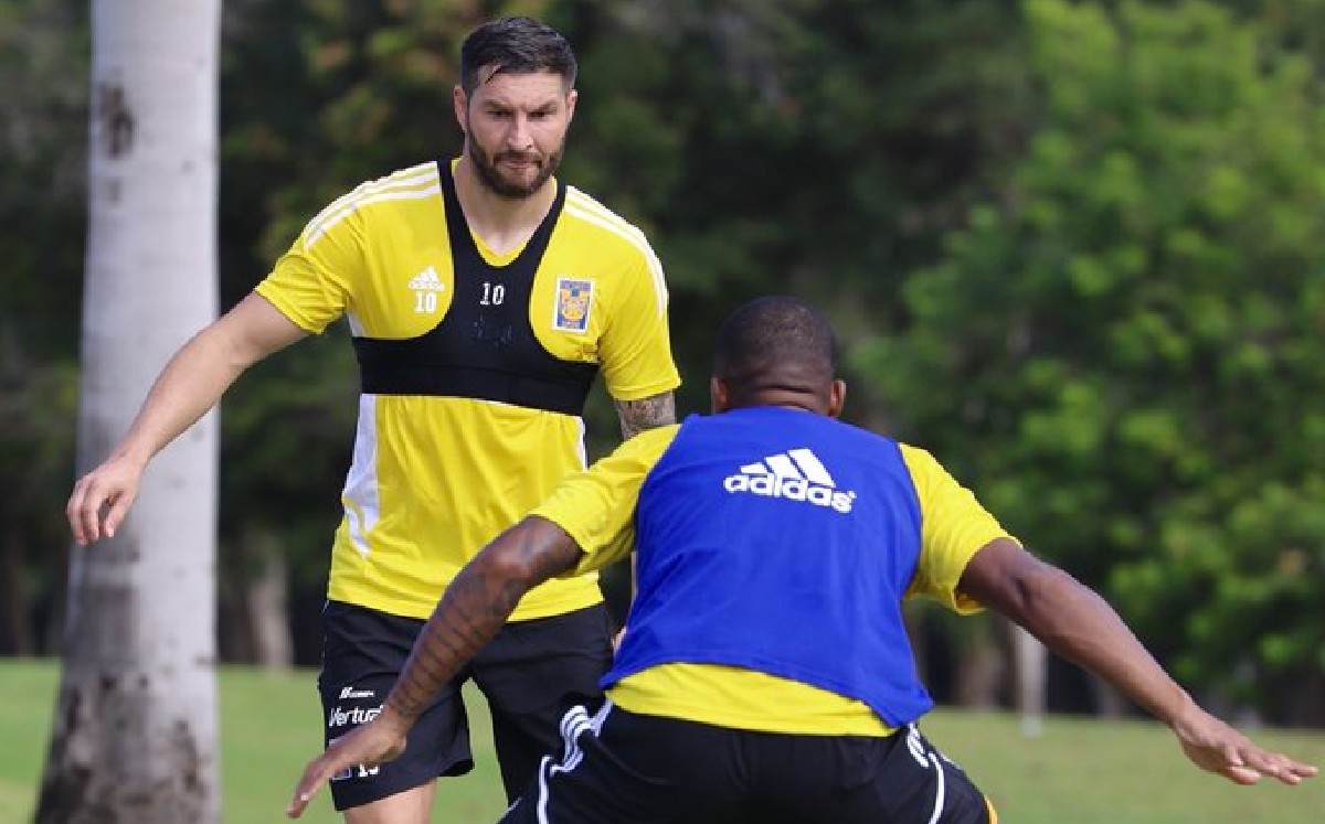 Gignac, cumple 37 años y lo llaman el Rey de Nuevo León