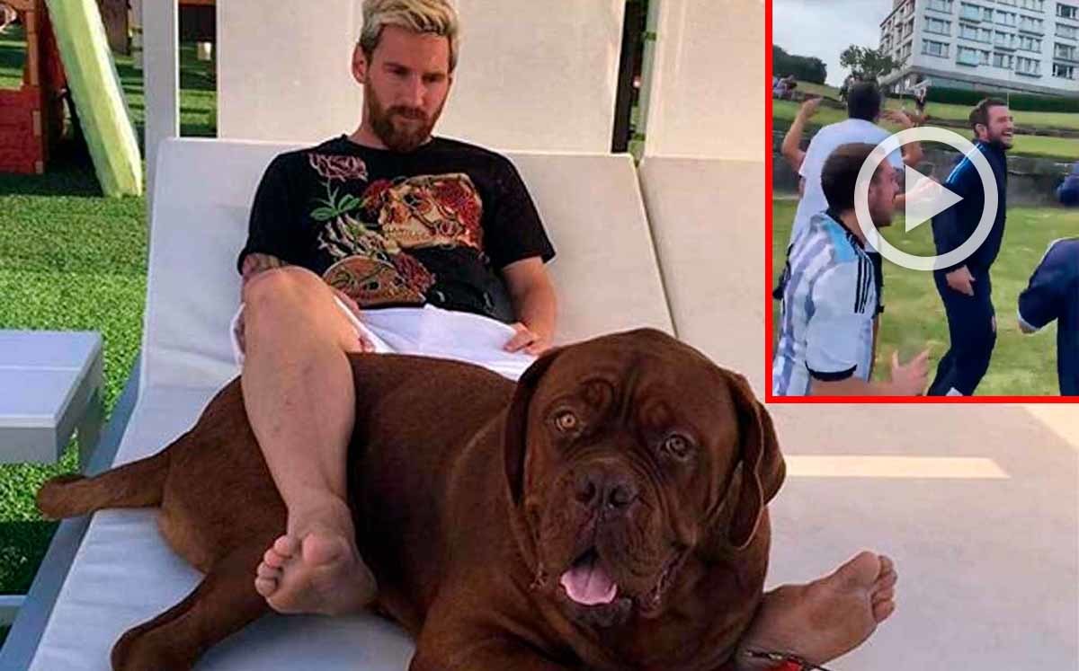 Argentinos visitan al perro de Messi tras ganar el Mundial VIDEO