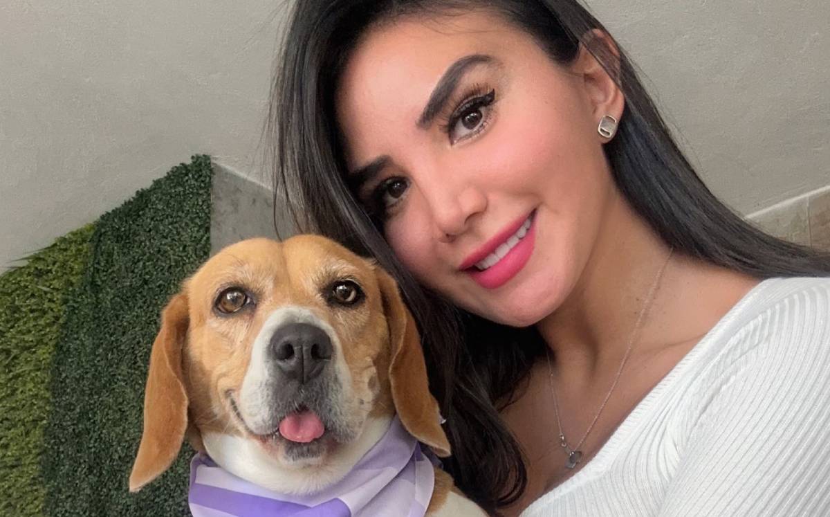 Encuentra a dueños de "Ponchita" perrita que se perdió en Estadio BBVA