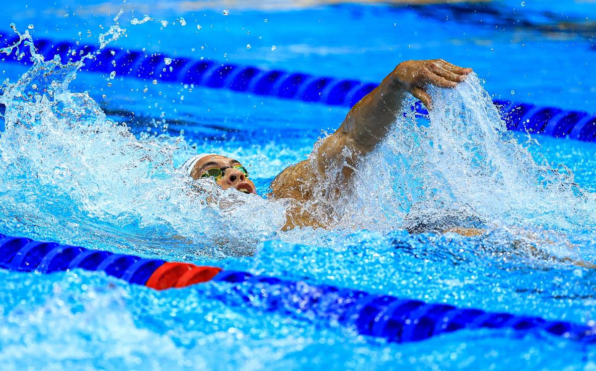 Federación Mexicana de Natación acusa falta de neutralidad