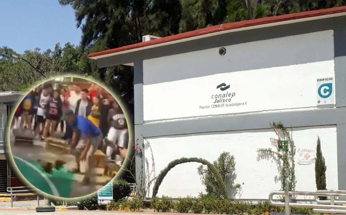 Denuncian pelea de gallos en Conalep Zapopan | VIDEO