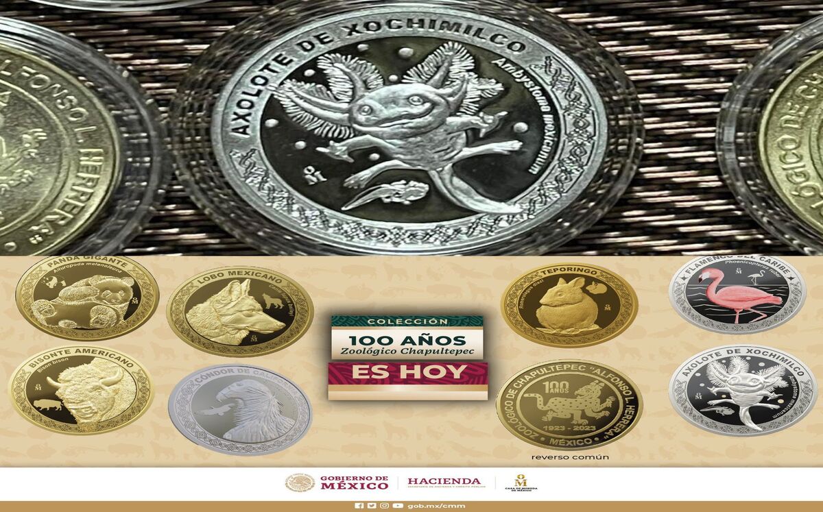 La colección de monedas por los 100 años del Zoológico de Chapultepec ...