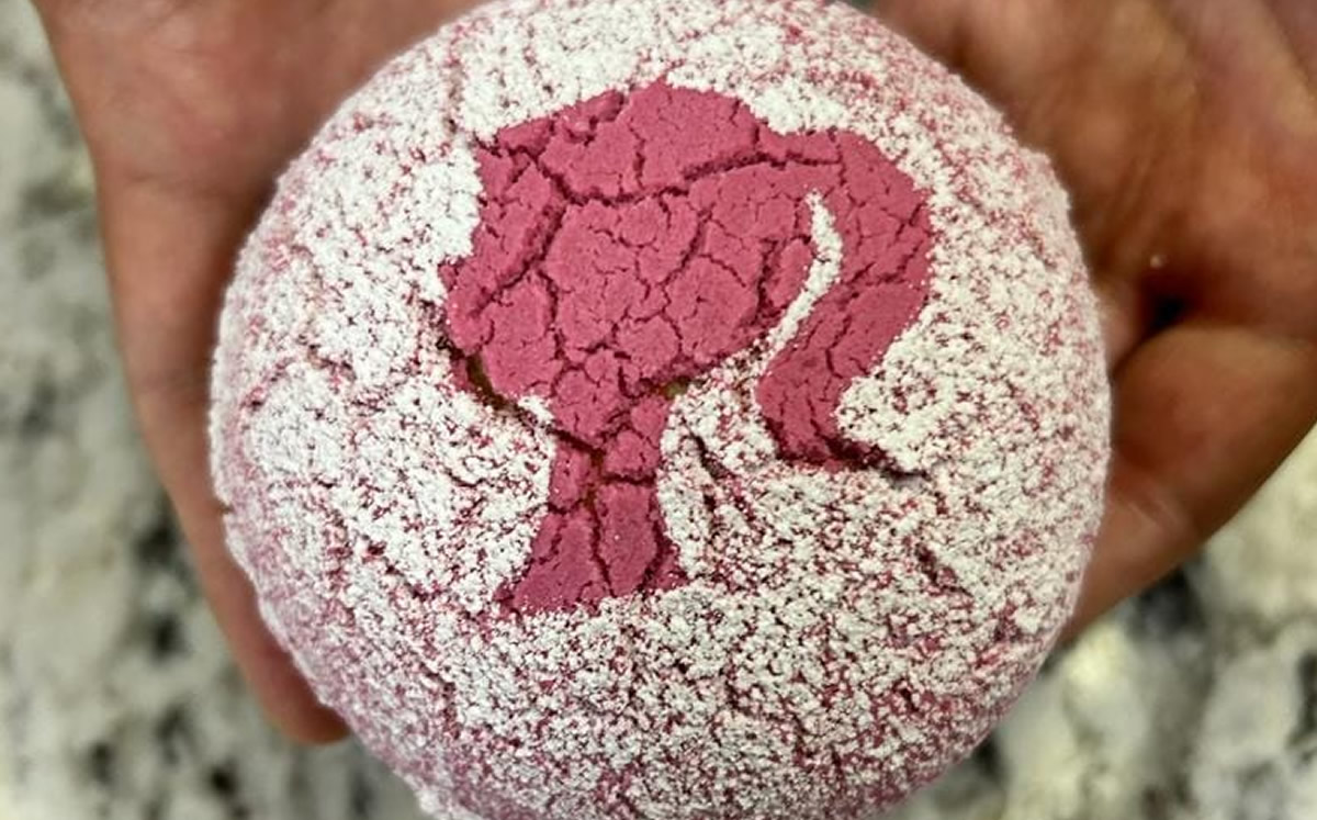 ¡Increíble! Panaderas de Guadalajara crean la 'Concha Barbie'