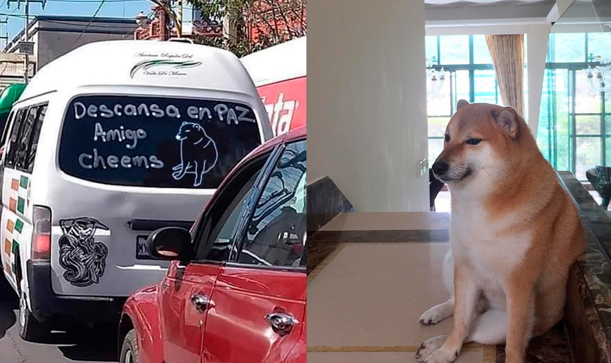 Chofer de combi se despide de 'Cheems' y se vuelve VIRAL