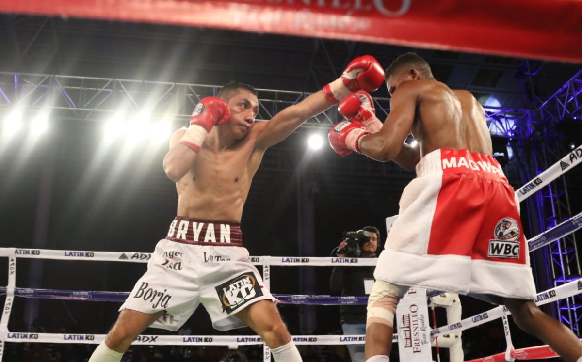 'Destructor' Mercado impone su dominio sobre Mzuvukile