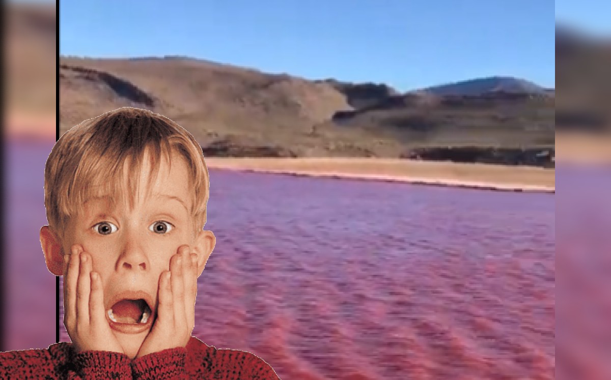 Río Nilo se tiñe de Rojo. Qué significa y porqué se da este fenómeno