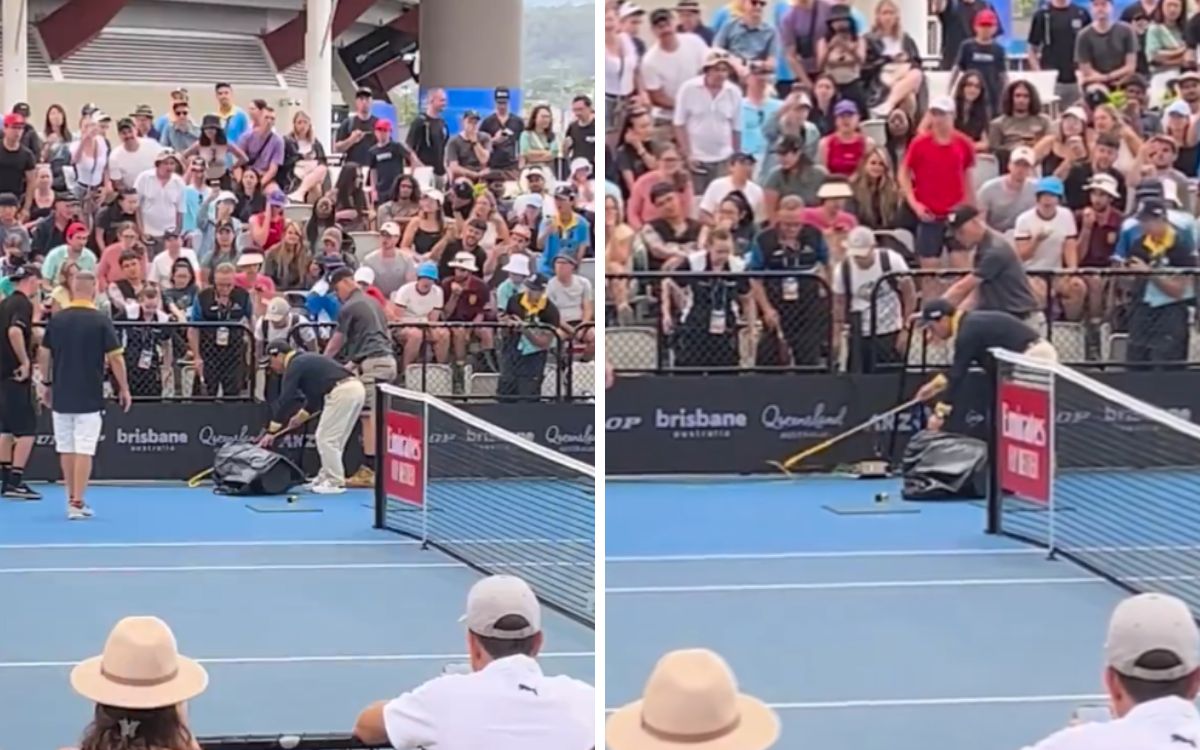 Serpiente aparece durante partido de ATP 250 y momento se hace viral