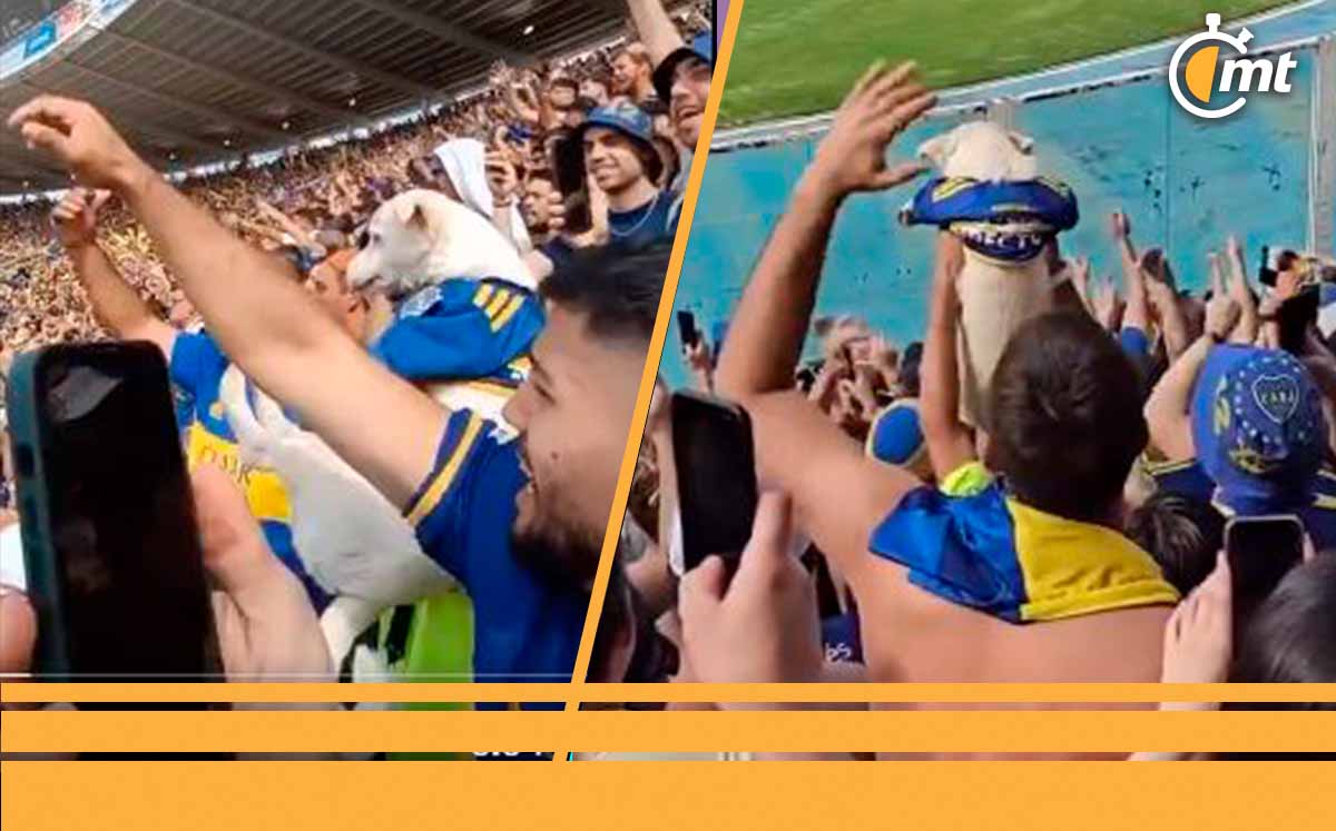 Perrito animó a Boca Juniors desde las gradas y se volvió vira | VIDEO