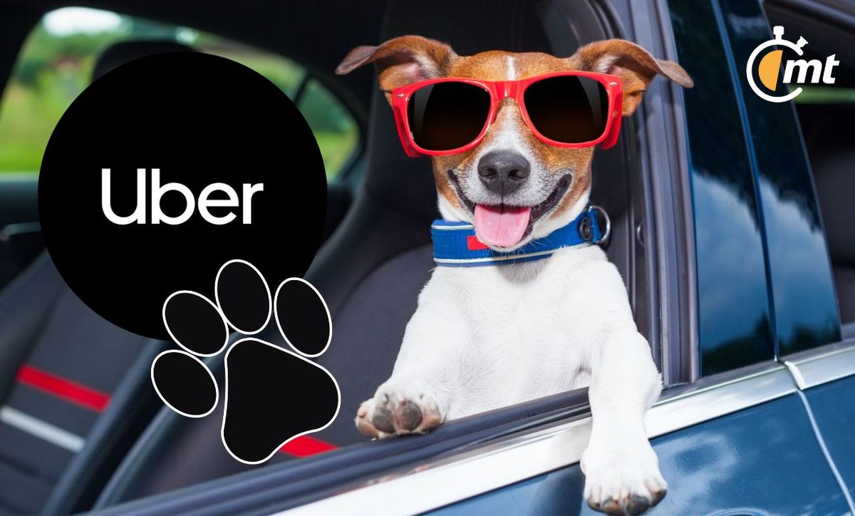 Uber Pet llegará a México; cómo pedir un taxi para tus mascotas