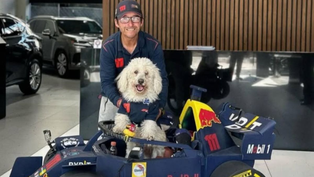 Falleció Fabbio, perrito fan de Checo Pérez y la Fórmula 1