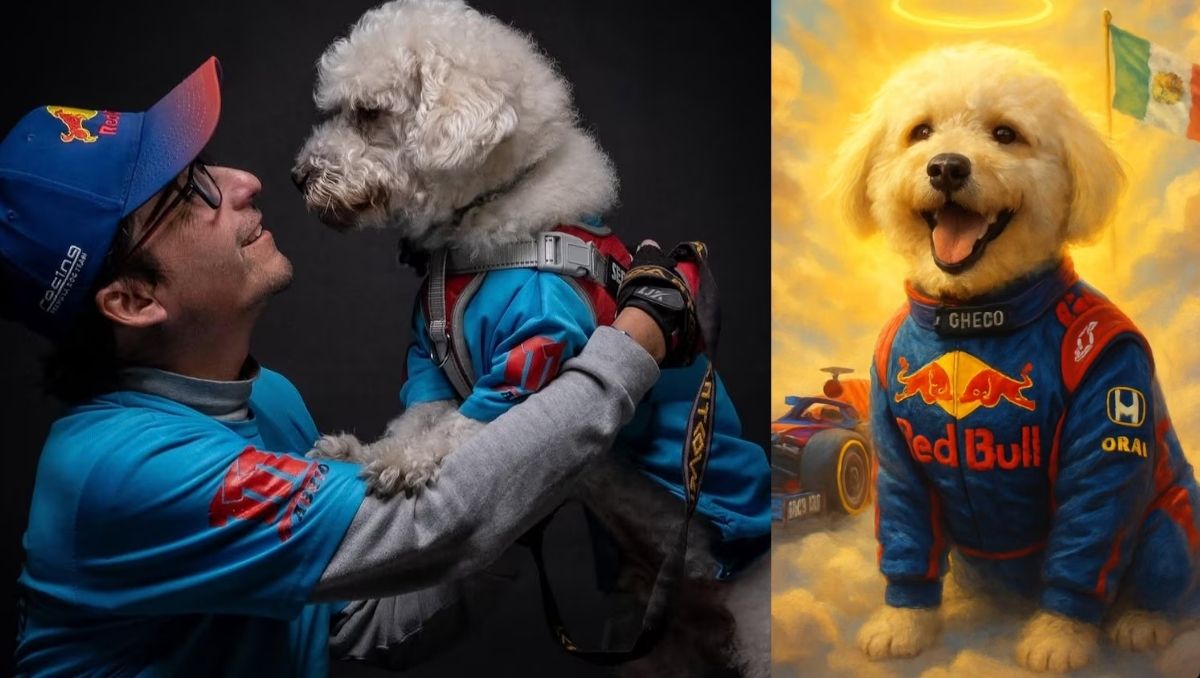 Fallece Fabbio, el perrito famoso por caracterizarse como Checo Pérez