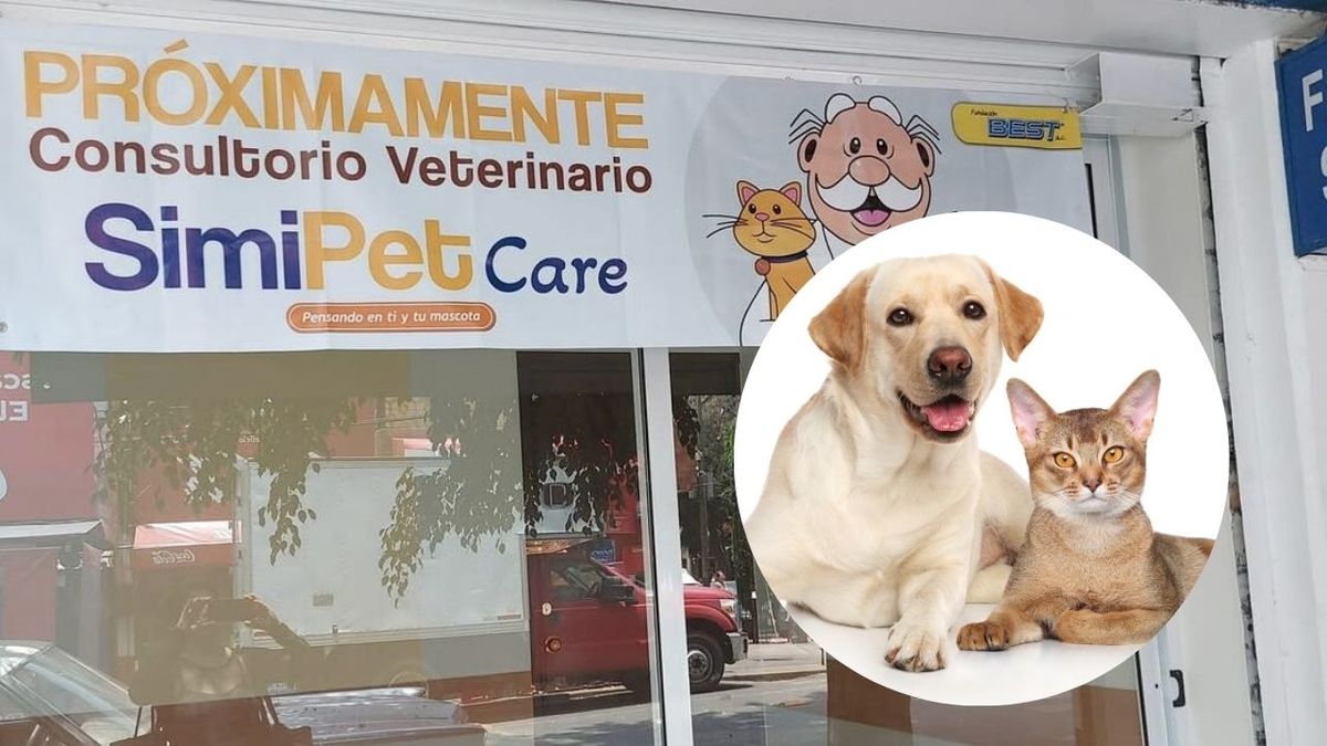 ¿Cuánto costarán las consultas para mascotas en SimiPet Care?