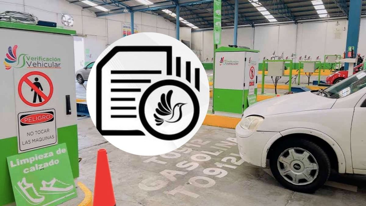 Constancia Tipo E: autos exentos de verificación para siempre y gratis