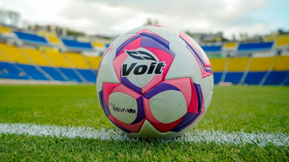 ¿Qué equipos están clasificados a Liguilla 2025? Cruces AL MOMENTO