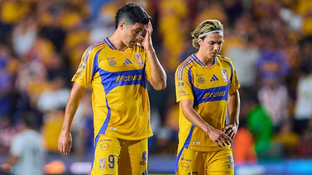 Nico Ibáñez, ¿'borrado' como 'Sebastián Córdova'?
